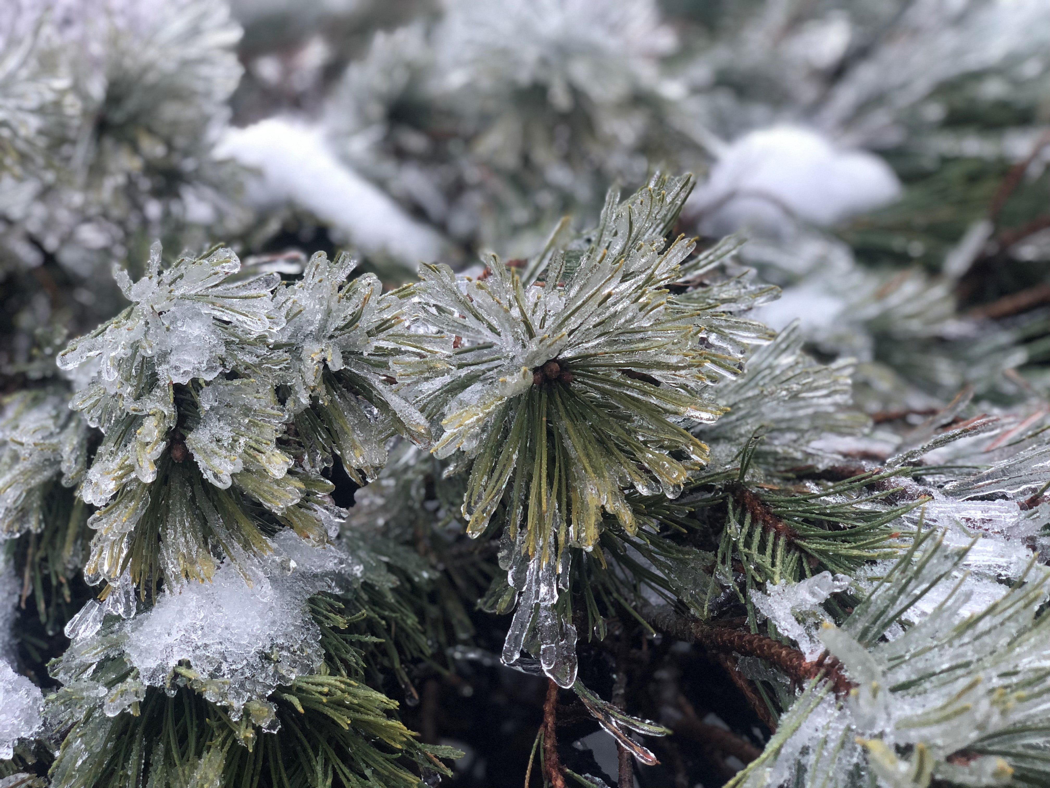 Monthly Photo Contest | Barron Electric Cooperative